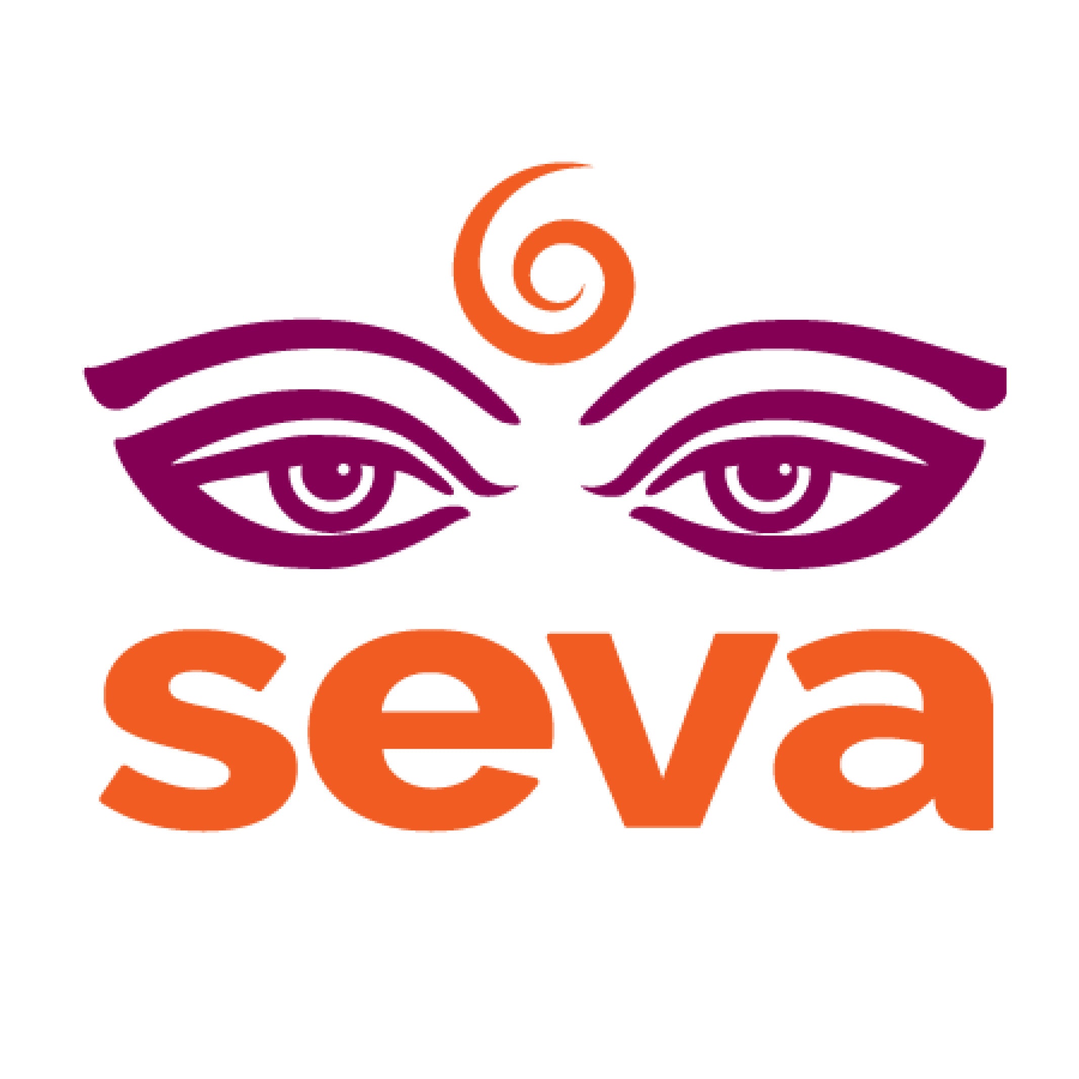 Products – The Seva Foundation Store
